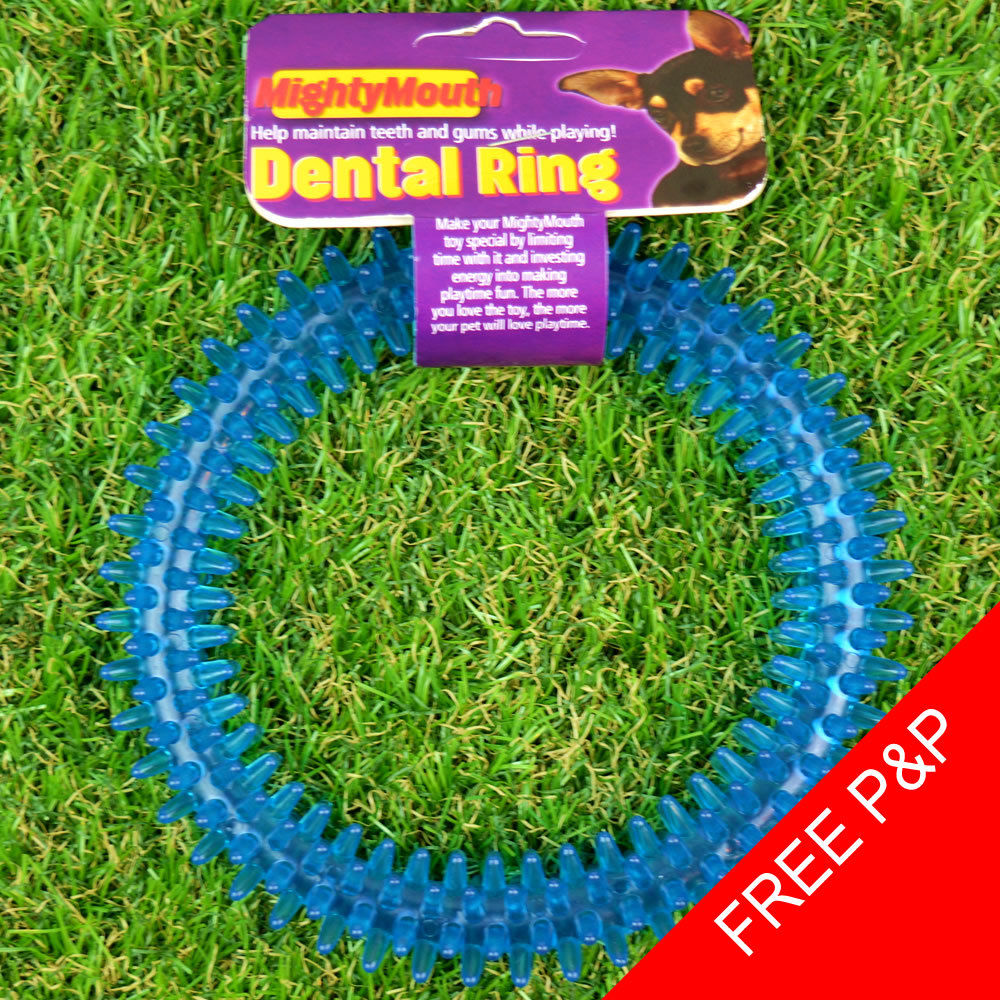 Soft Rubber Dental Dog Ring Toy – DoggTreats
