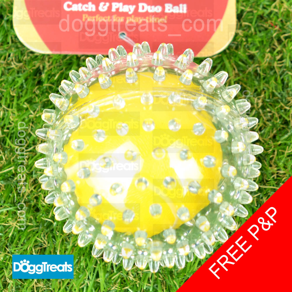 Rosewood Jolly Dog Rubber Spiky Fetch Ball - Football / Tennis – DoggTreats